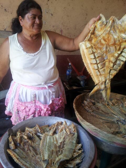 Antagonismo Renacimiento Alivio pez boca colorada Avanzar Vacunar Desviar