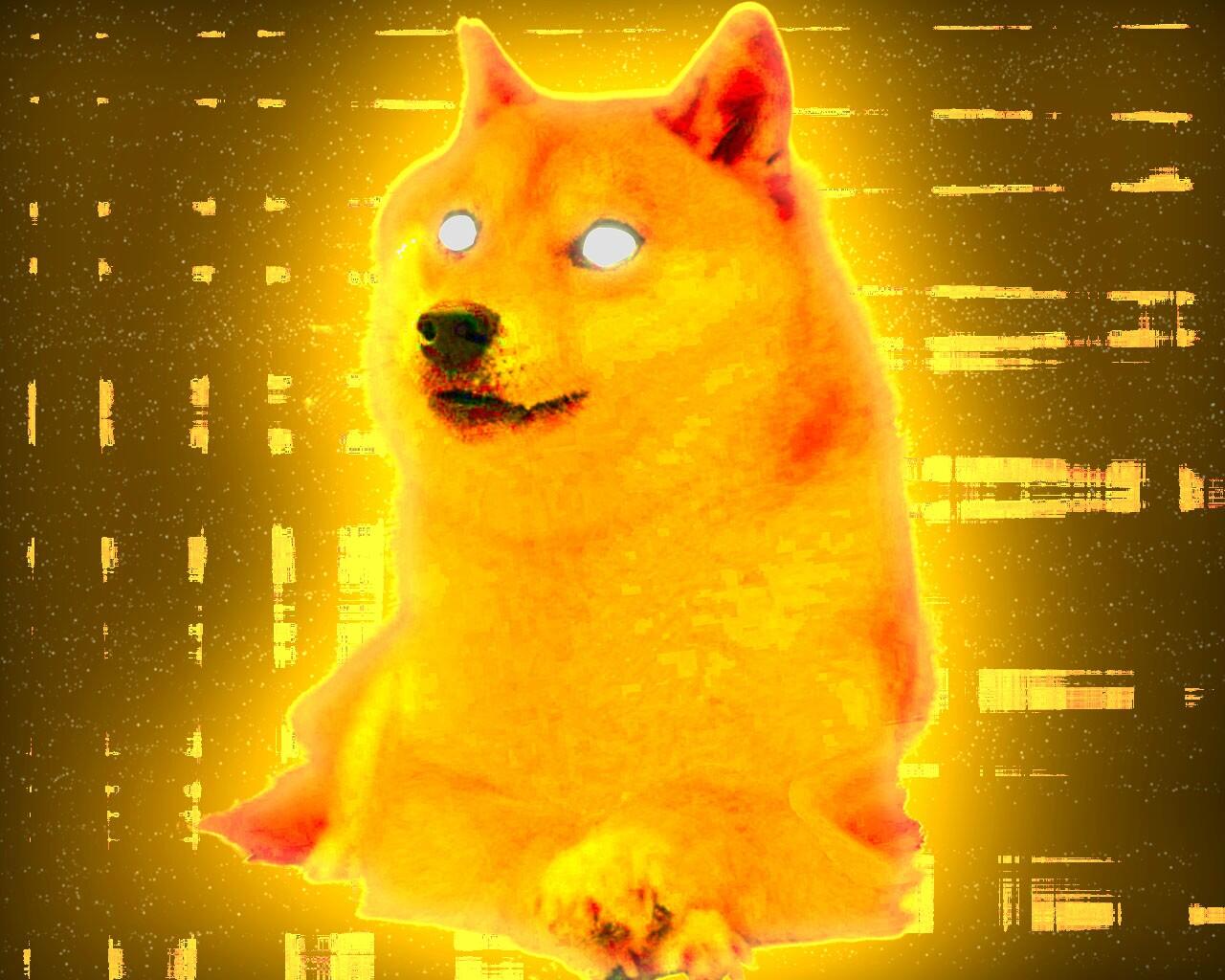 Shibe Doge Wallpaper