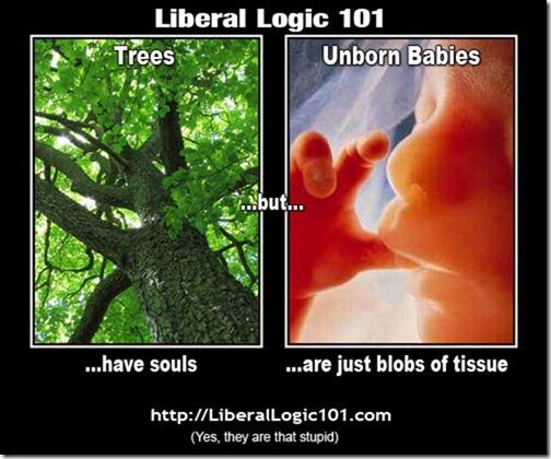 Libtard Logic 101 List of what Libtards value more than life is ridiculously long | BPI random ...