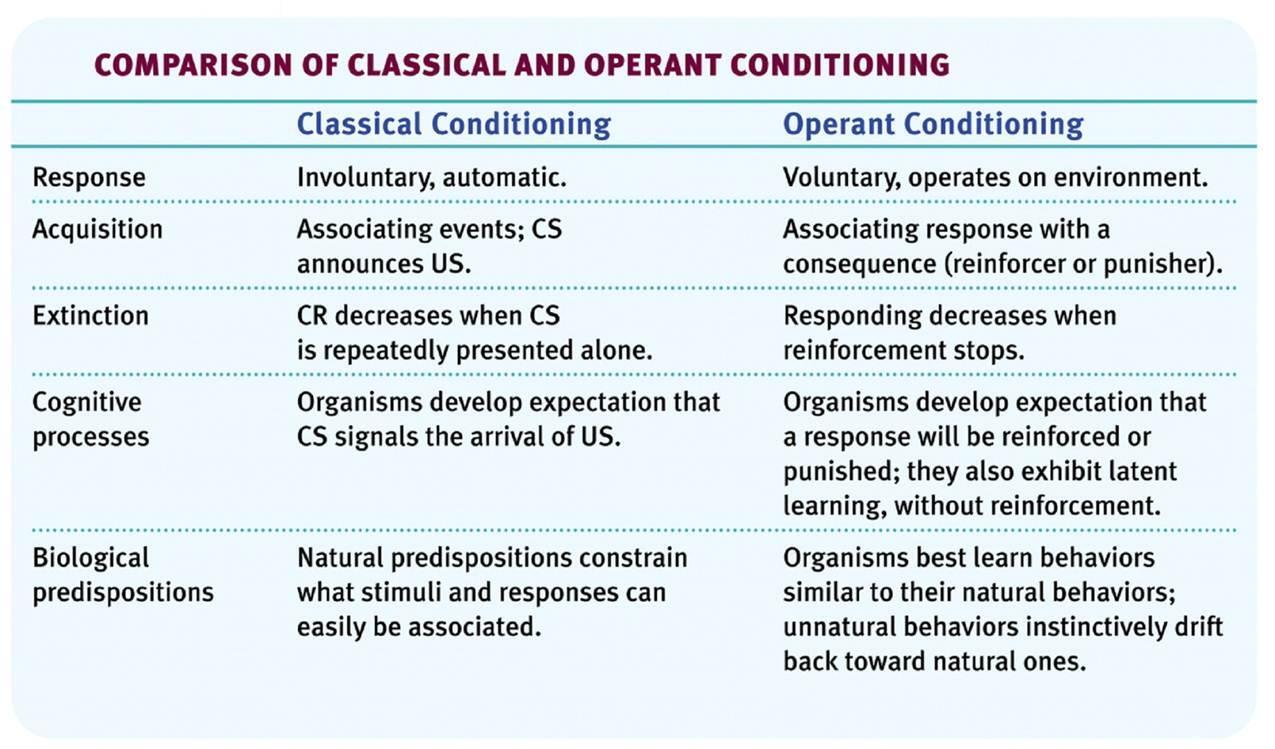 Operant Conditioning Vs Classical Conditioning Punish - vrogue.co Operant Conditioning Vs Classical Conditioning Punish - vrogue.co