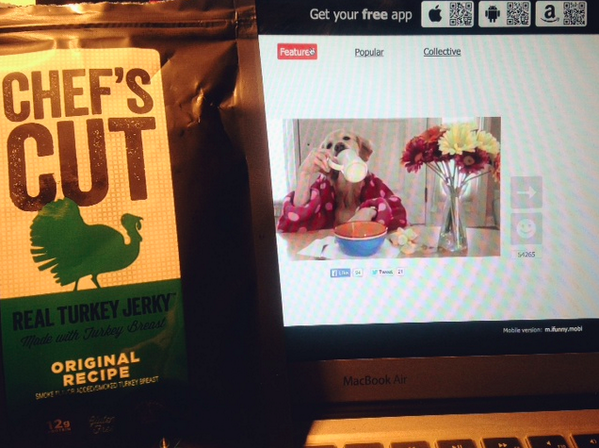 iFunny Posts | Funny posts on iFunny