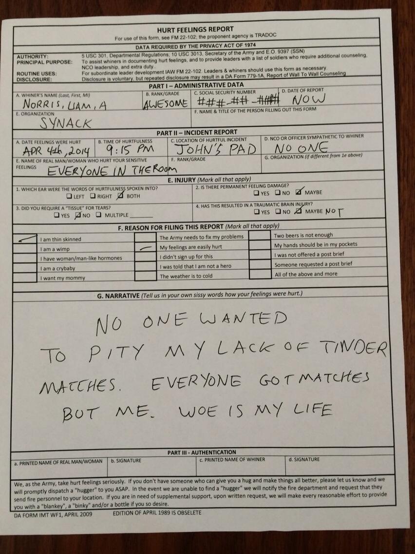 Hurt Feelings Report Word Doc