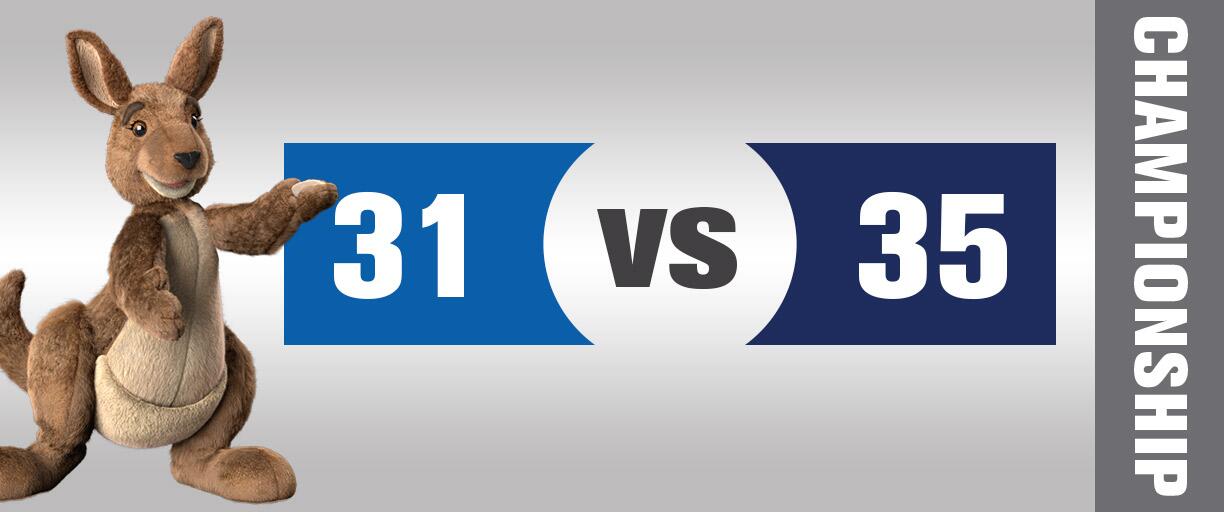 Dish Kangaroo Boxing