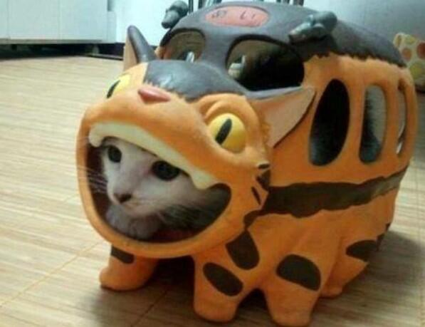 Totoro Cat Bus Costume