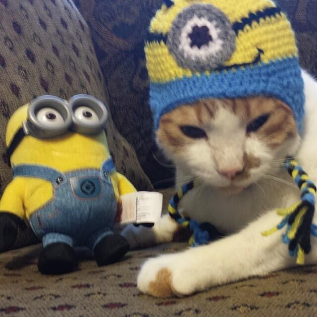 Kitty Minion