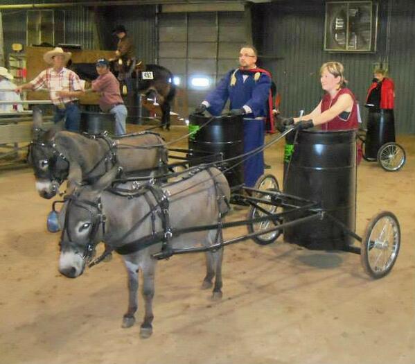 Miniature Donkey Cart Harness