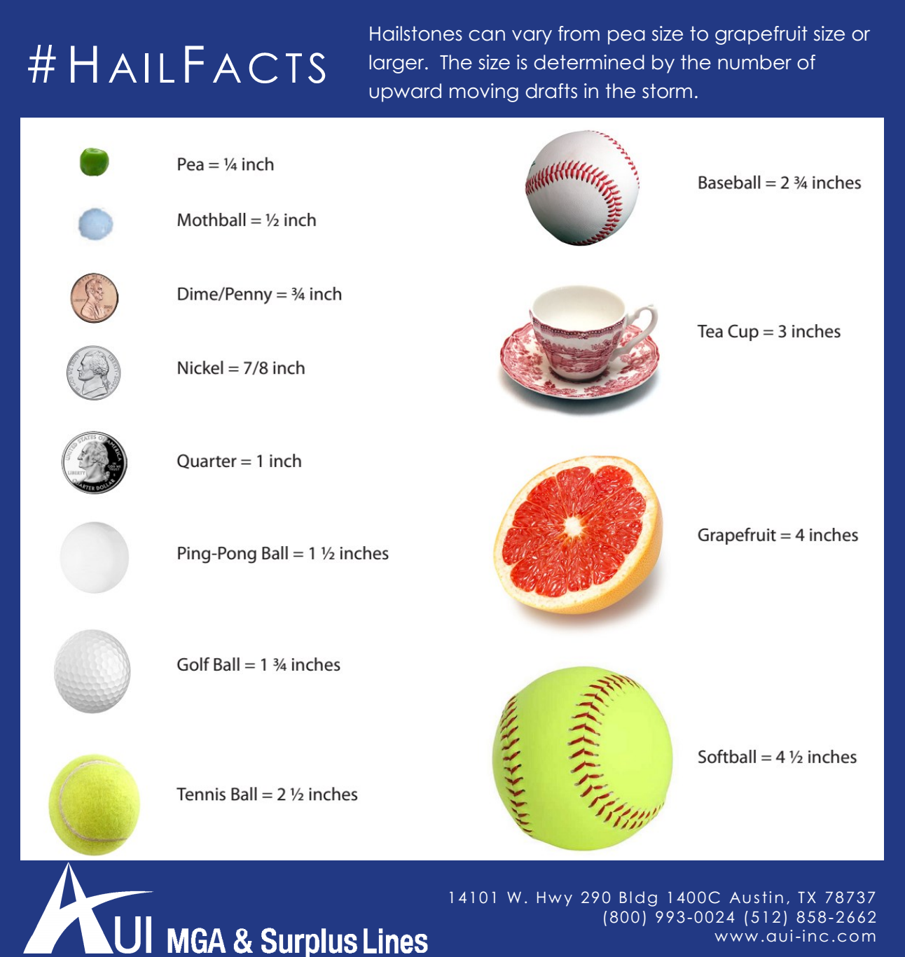 Grapefruit Size Comparison