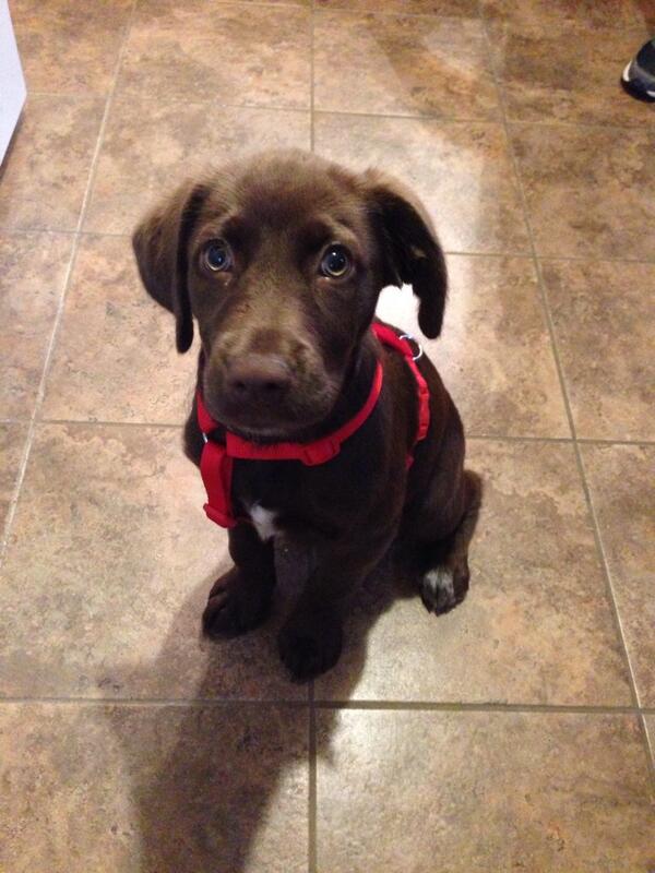 Lauren Devore (@devore_lauren) | Twitter