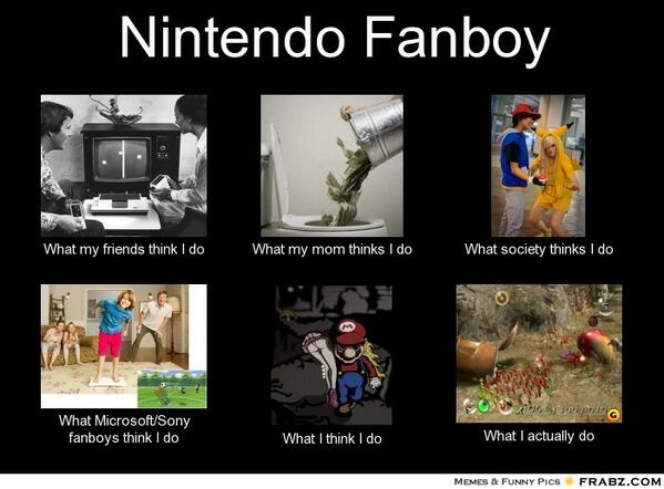 Nintendo Fanboy Meme
