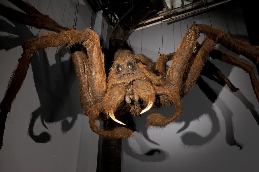 Harry Potter And The Forbidden Journey Spiders