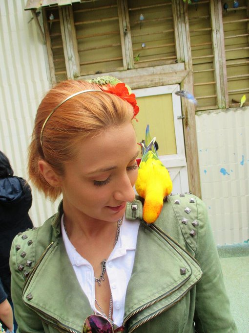 TW Pornstars - Goddess Amadahy. Pictures and videos from Twitter. Page 30