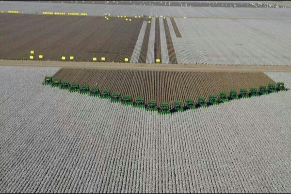 Cubbie Station - Alchetron, The Free Social Encyclopedia