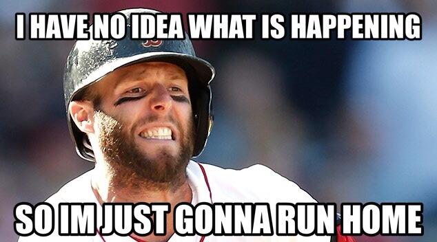 Pedroia Memes