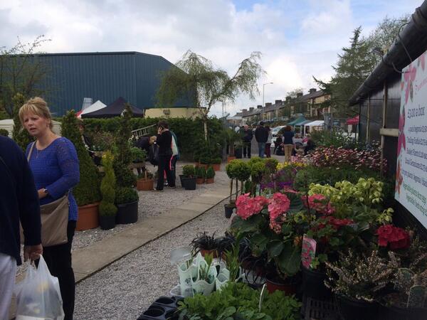 Fiona Leaver (@treeslancashire) | Twitter