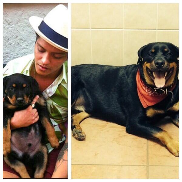 芸能人×動物の画像ください！！ | ガールズちゃんねる - Girls Channel