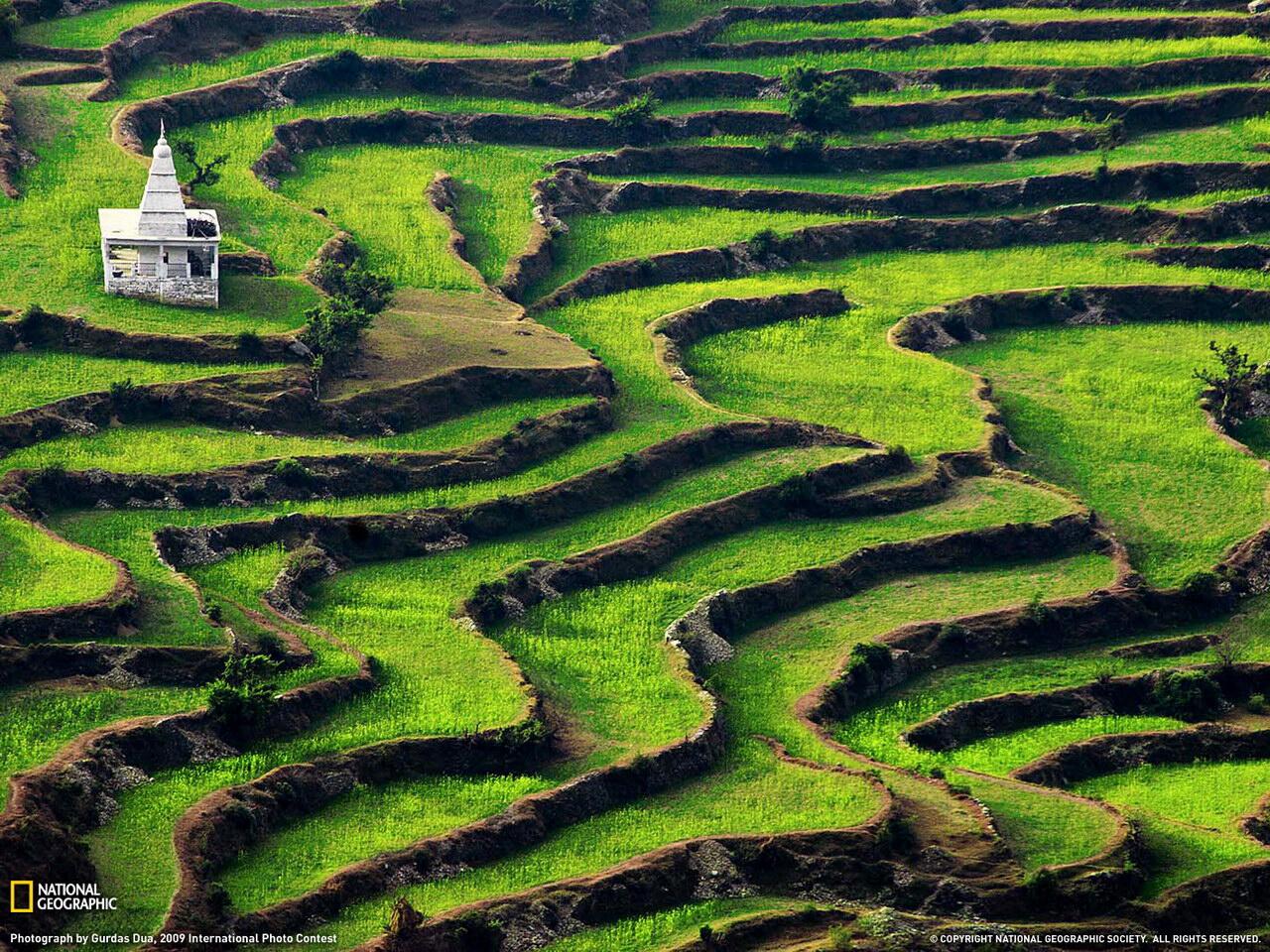 Terrace Farming Drawing