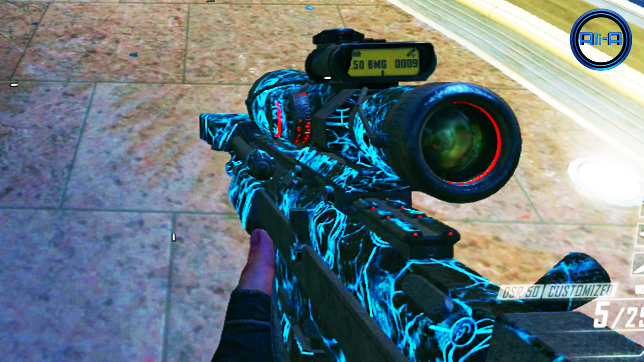 Advanced Warfare Camos Bo2