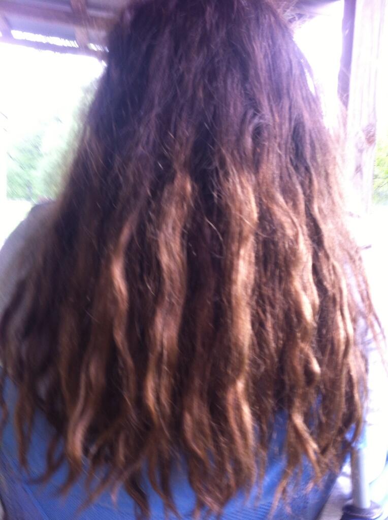 Natural Dreadlocks Neglect