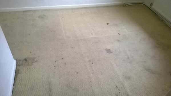 Megan Metcalfe (@megsi_mo0) | Twitter