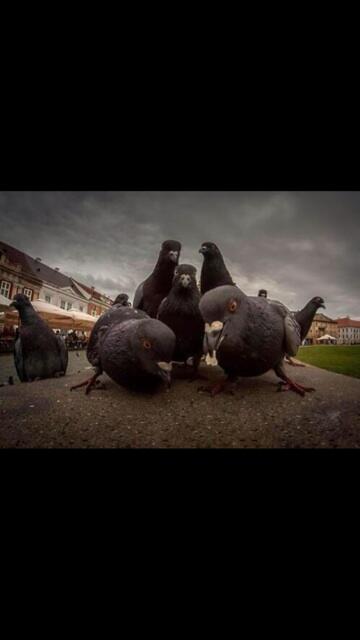 Jonathan Wright (@johniewright1) | Twitter