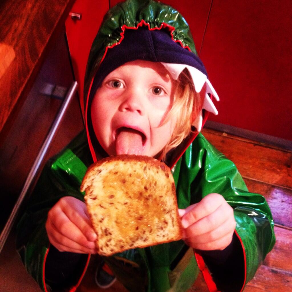 Libby Powell On Twitter Thebrickbox Max Likes His Hot With Honey On