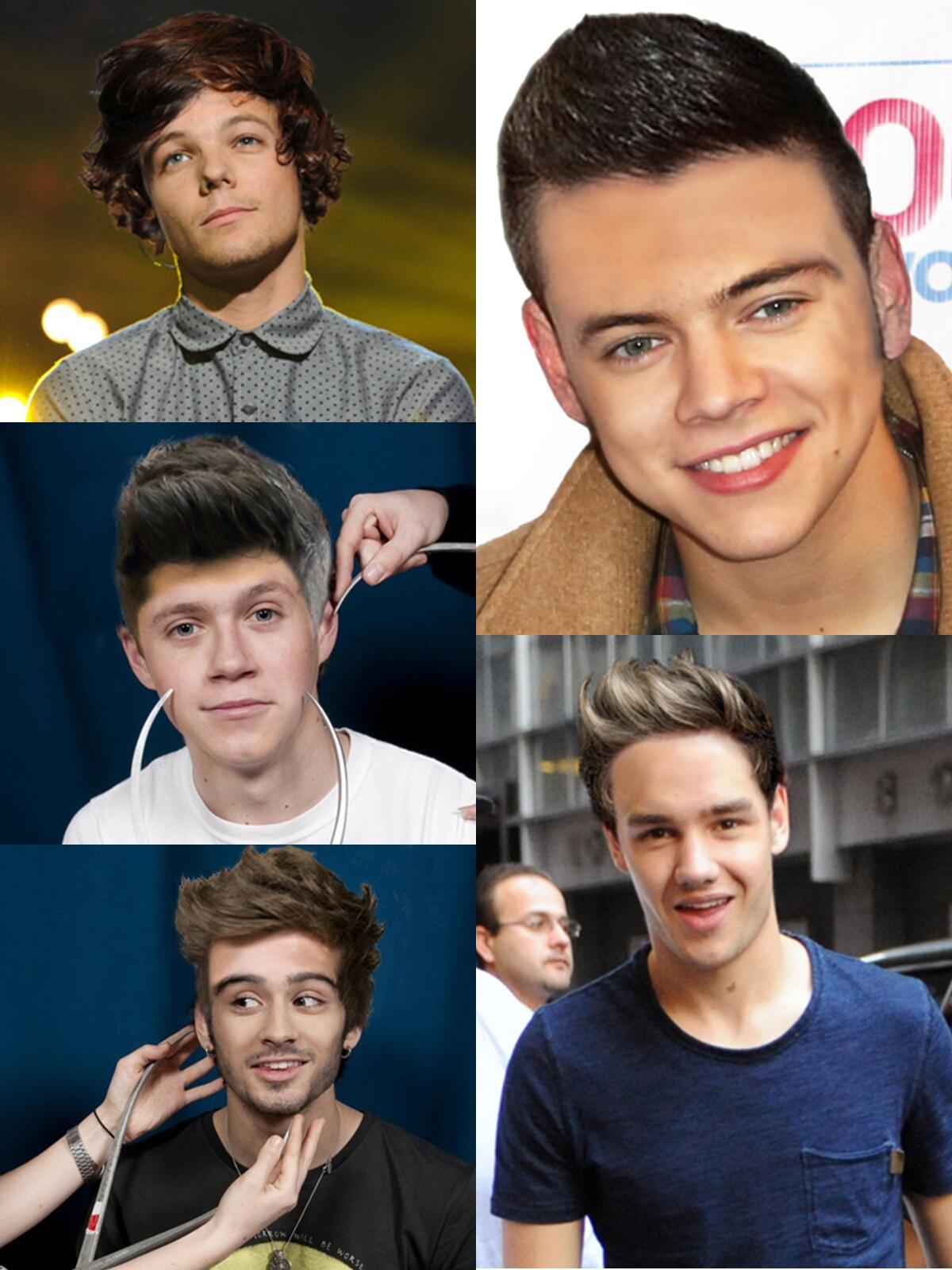 One Direction Hair Swap