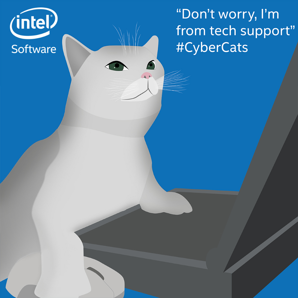 Tech Support Cat Meme