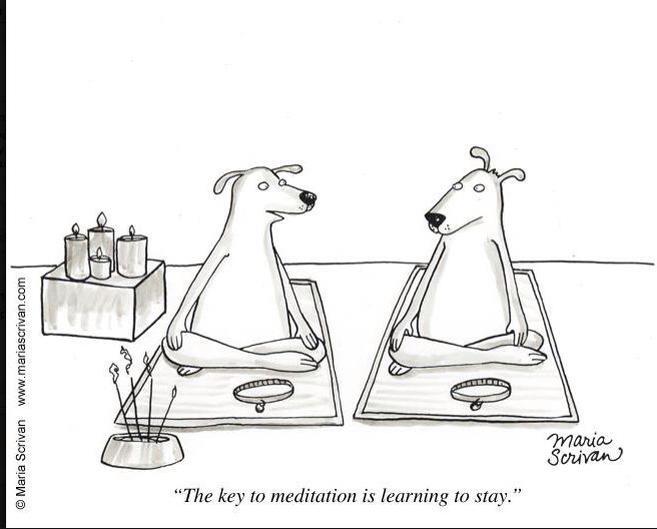 Zen Mindfulness Cartoons