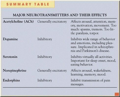 Neurotransmitters Chart