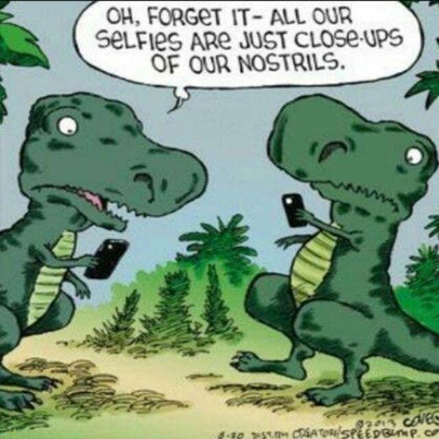 Small Arms Memes Happy Birthday Favourite Dinosaur Meme Female