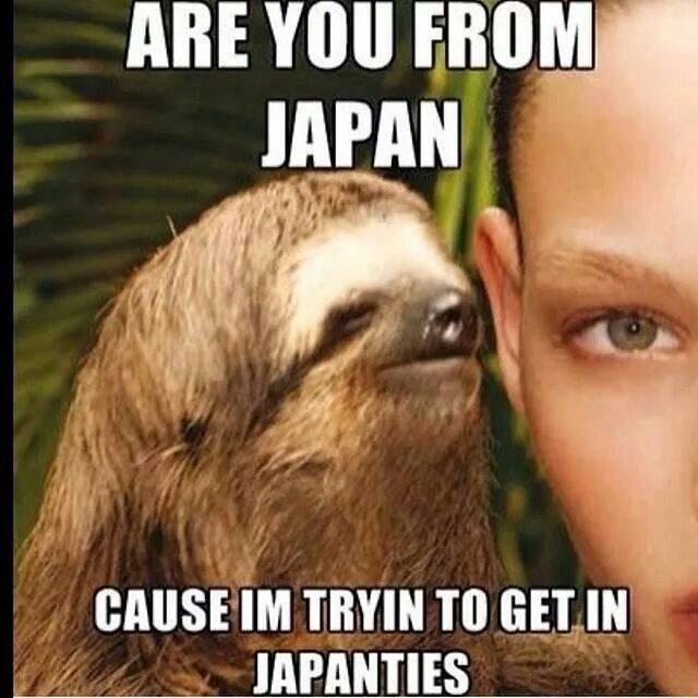 Sloth Meme Japanese