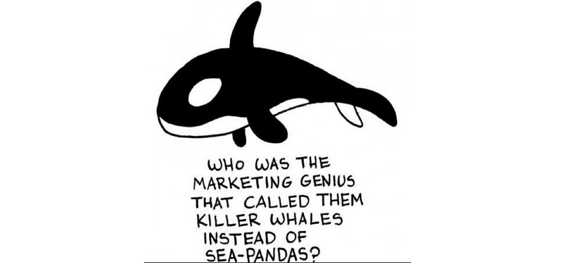 Killer Whale Puns