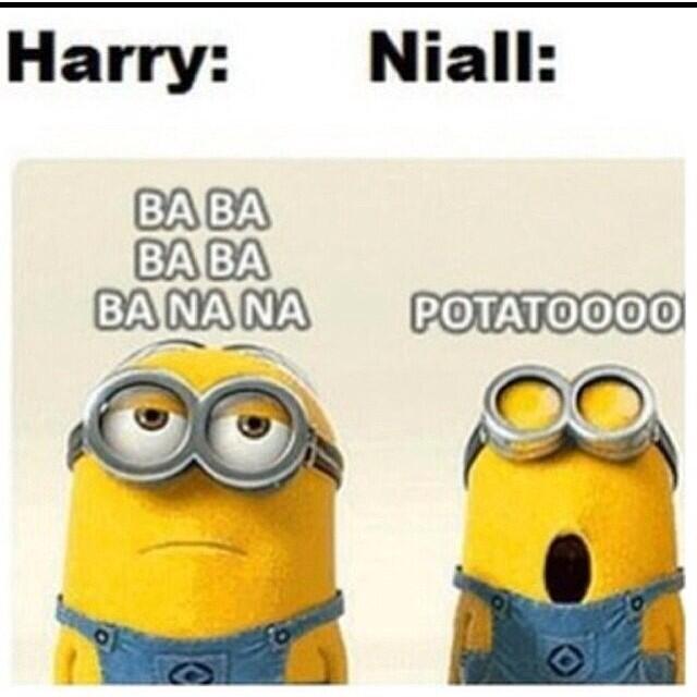 Minion One Direction