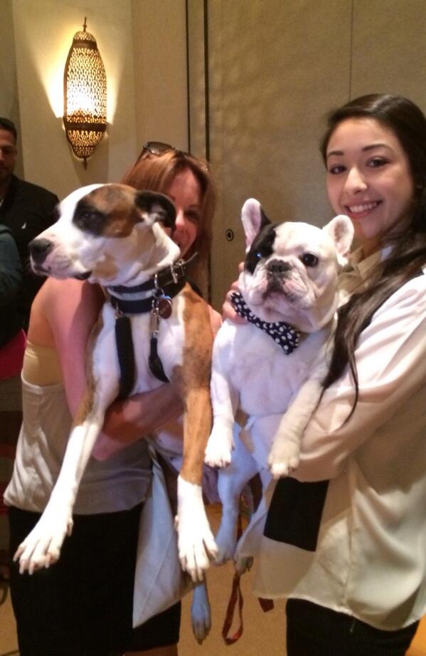 Lisa Arturo Hope For Paws