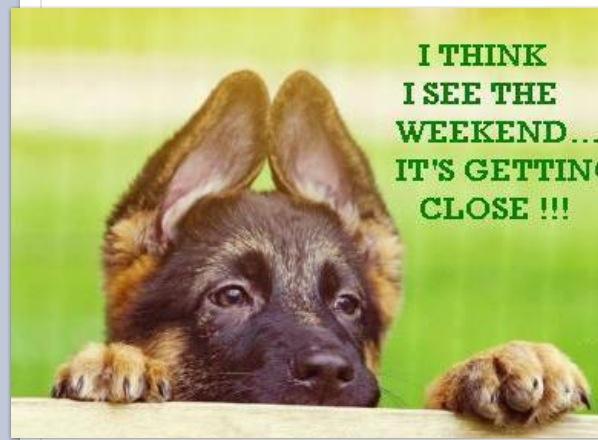 Hang In There Its Almost The Weekend Hang In There Its Almost The Weekend