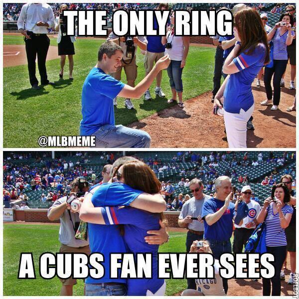 Fan Cub Memes Proud Member Of Smith Fan Club Afraid Of 45 Funny Meme