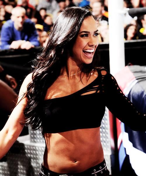 Aj Lee Twitter