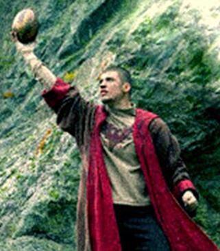 Harry Potter Third Task Costume