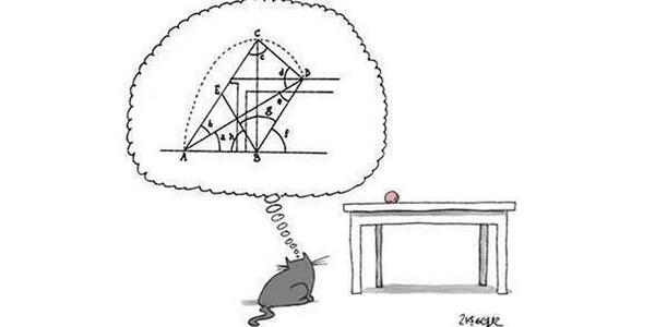 math cat | Cartoon animals, Cartoon cat, Cartoon posters