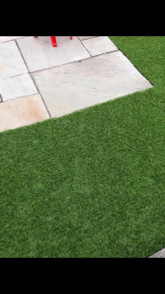 Grass Evolution Grassevolution Twitter 5308