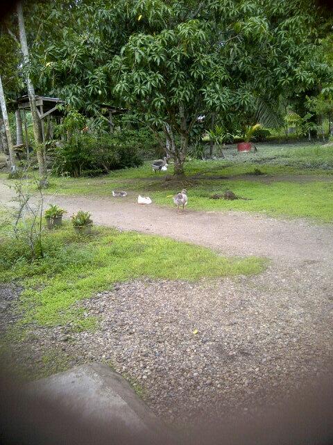 Devita sari (@xxxx_zee) | Twitter