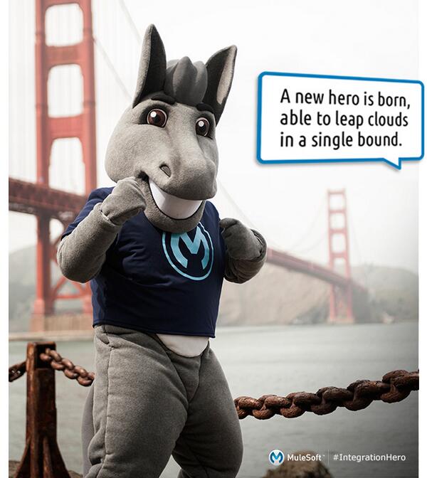 Meet a Muley – Max the Mule! | MuleSoft Blog