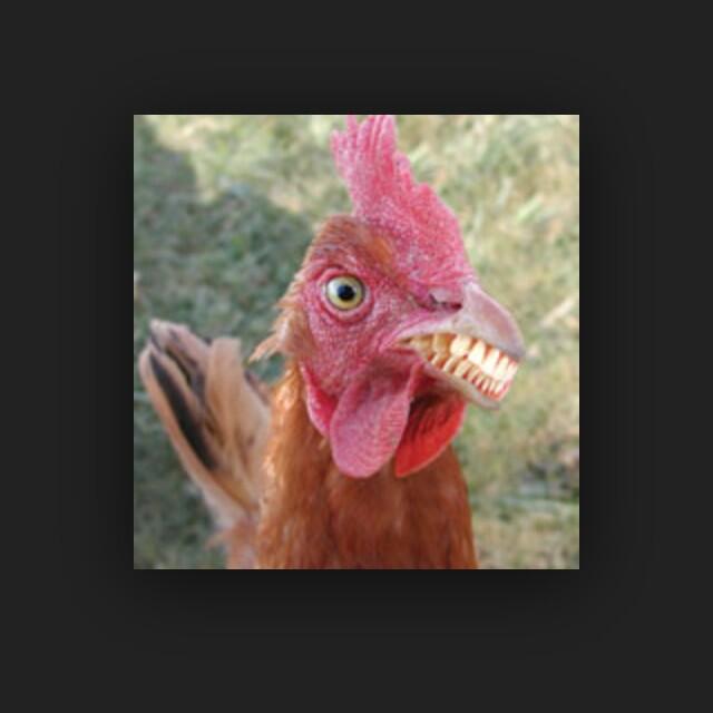 Chicken With Teeth