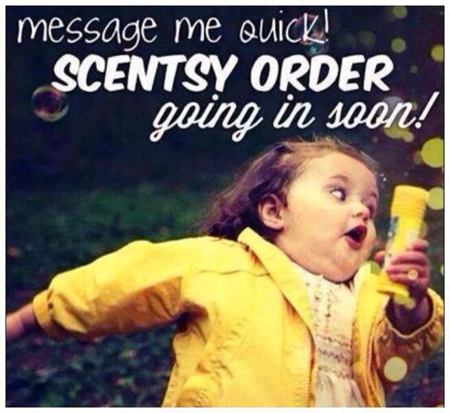 Scentsy Memes