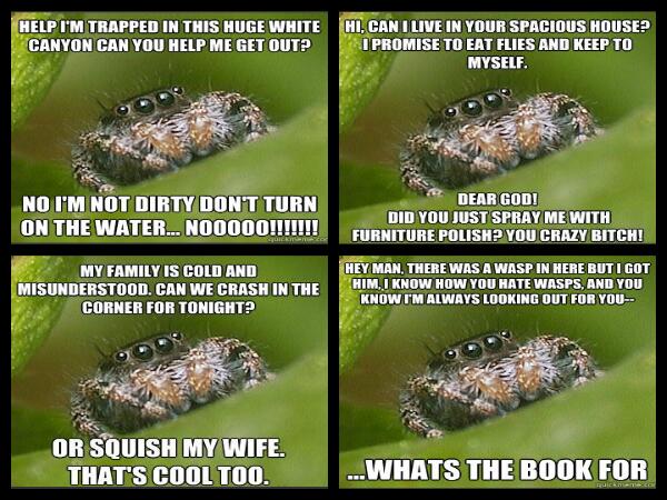Misunderstood Spider Meme Wasp
