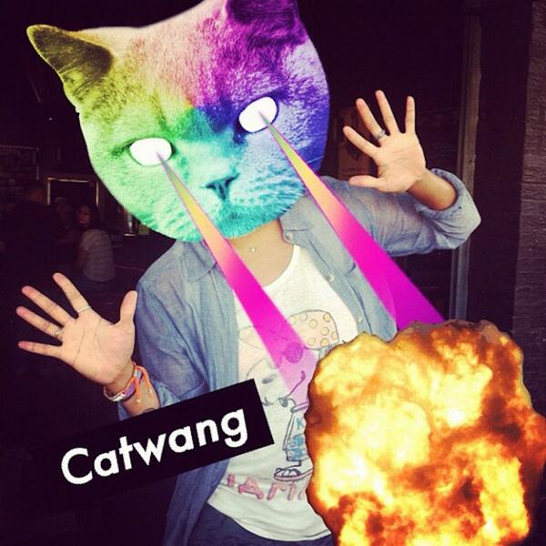 Catwang Stickers App