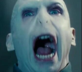 Voldemort Funny Face