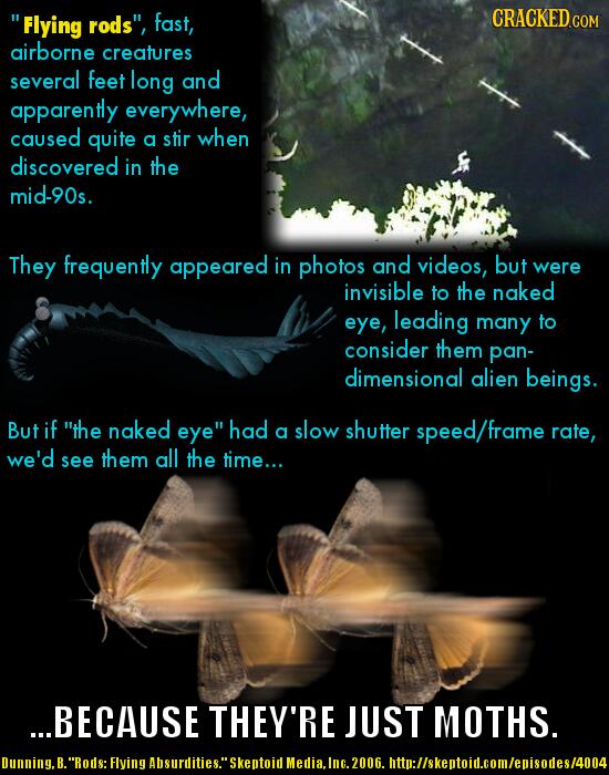 Flying Rods Explained PENN Saltwater Fishing Gear, Fishing Tackle