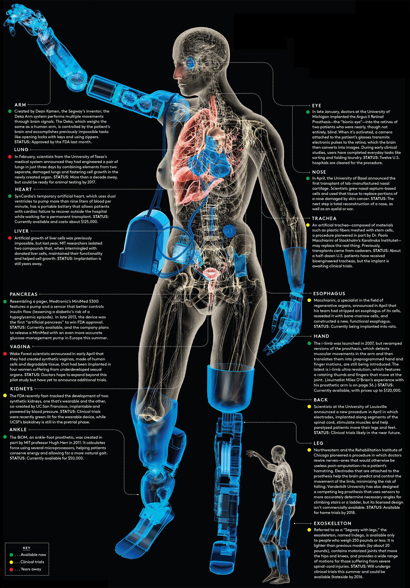 Gross Body Parts