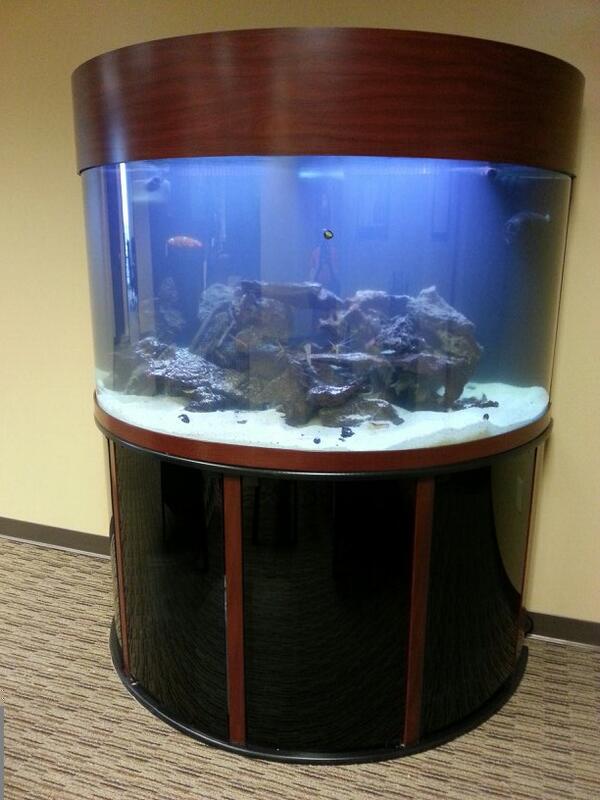 Aquarium Nerds (@AquariumNerds) | Twitter